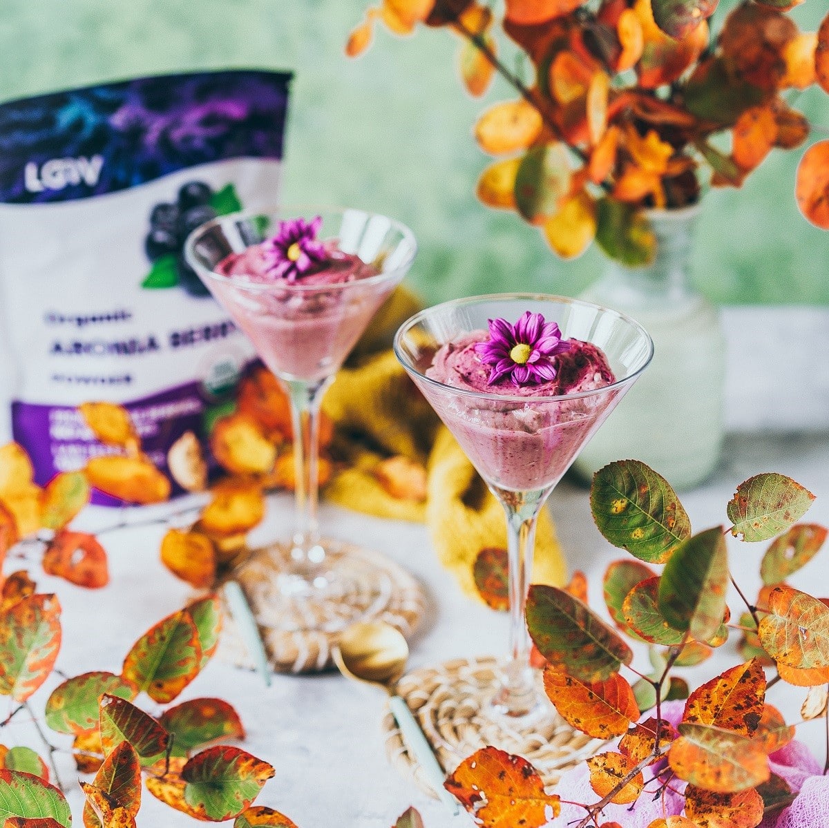 Aronia and Avocado Pudding – LOOV