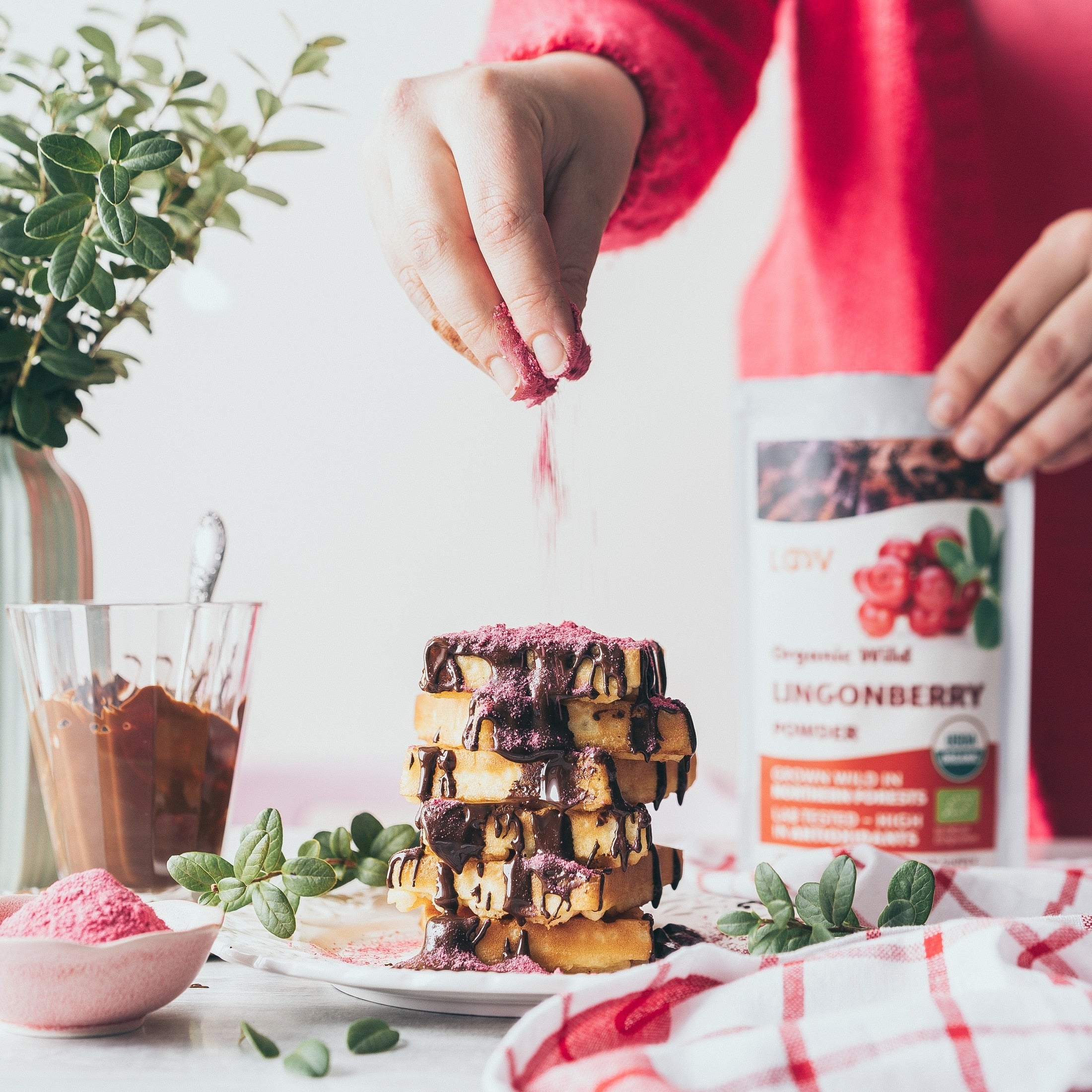 Dark Chocolate Buckwheat Waffles with Lingonberry – LOOV