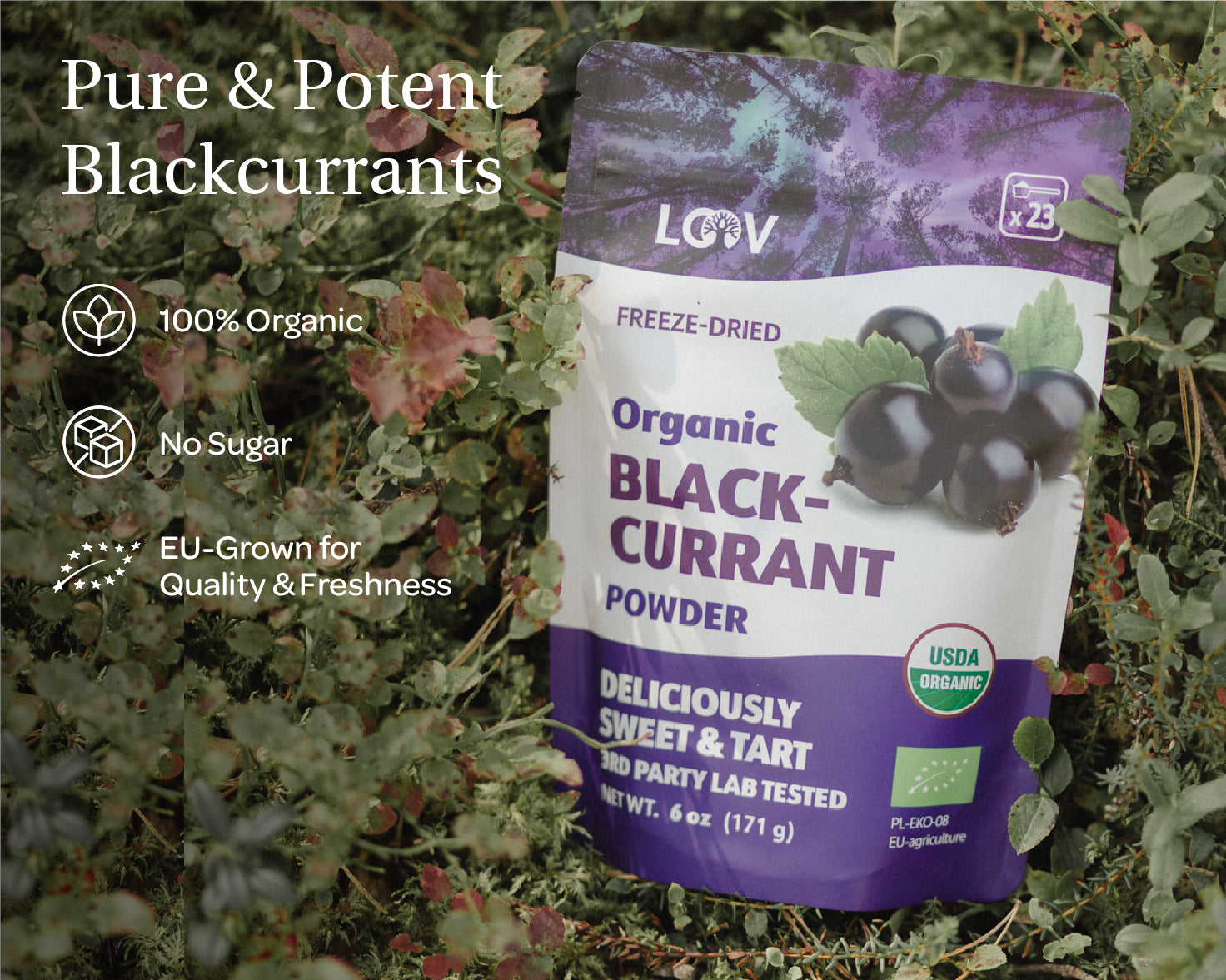 Superfood Powders – LOOV