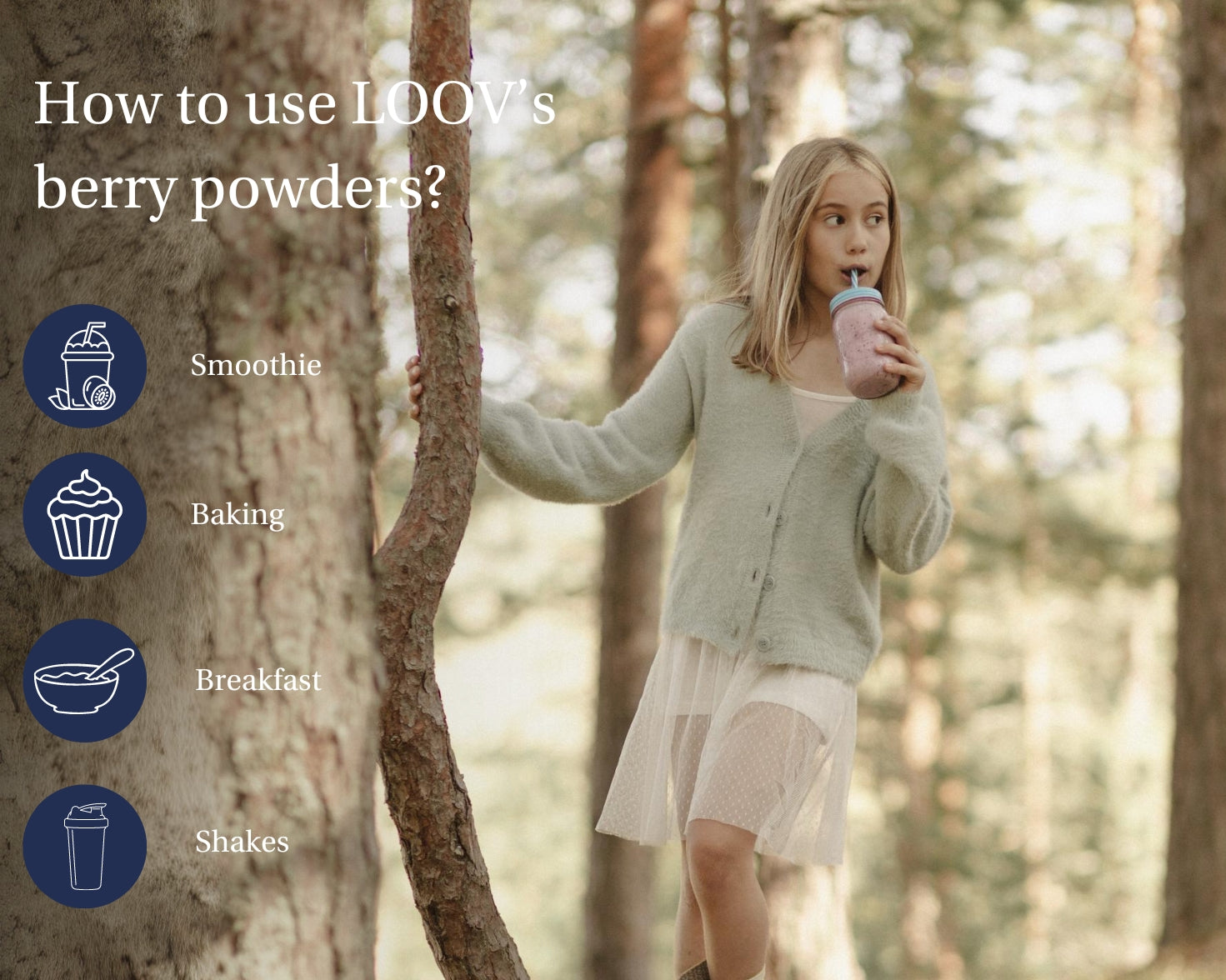 Blueberry Powder | Wild & Freeze Dried | LOOV Organic