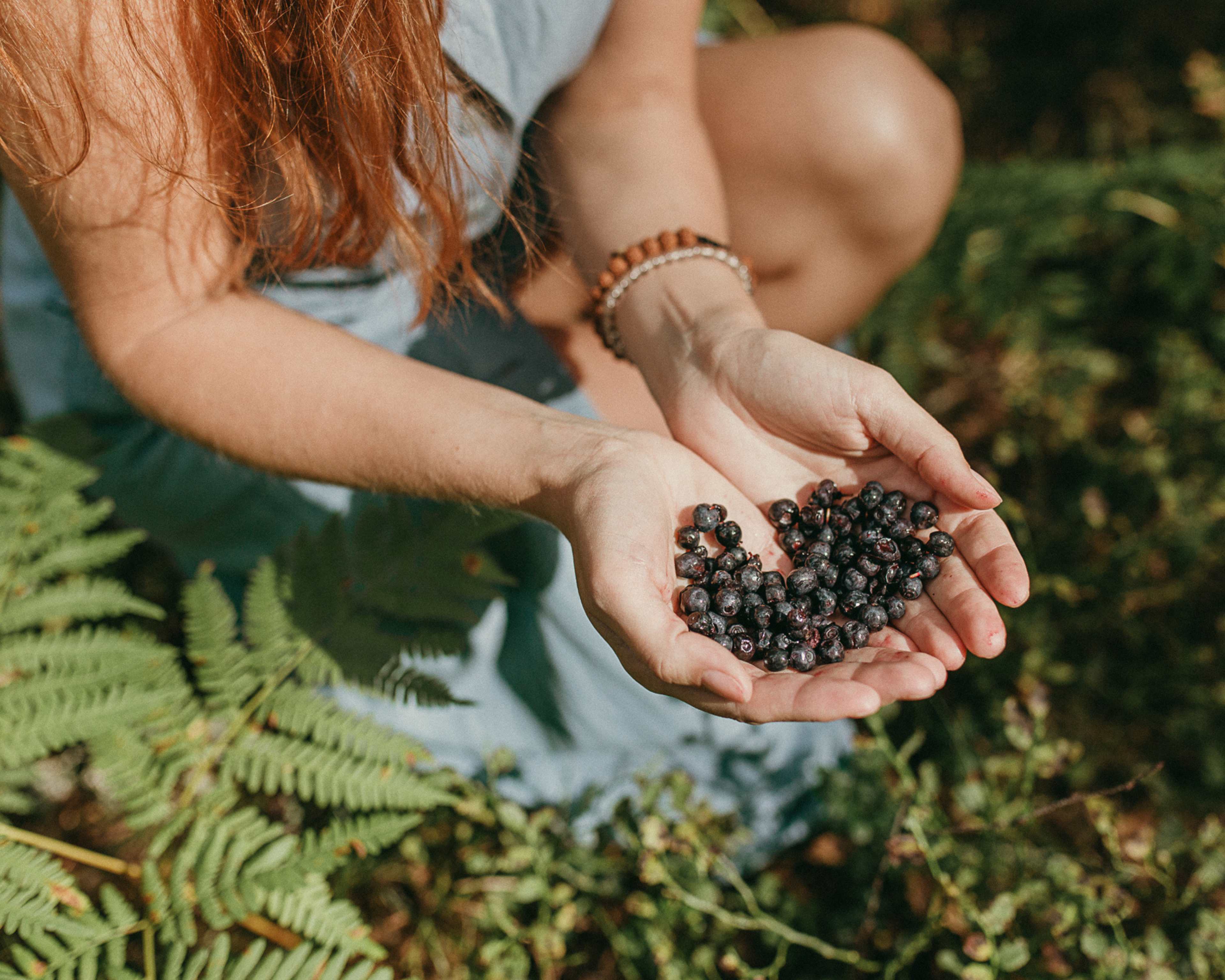 Blueberry Powder | Wild & Freeze Dried | LOOV Organic