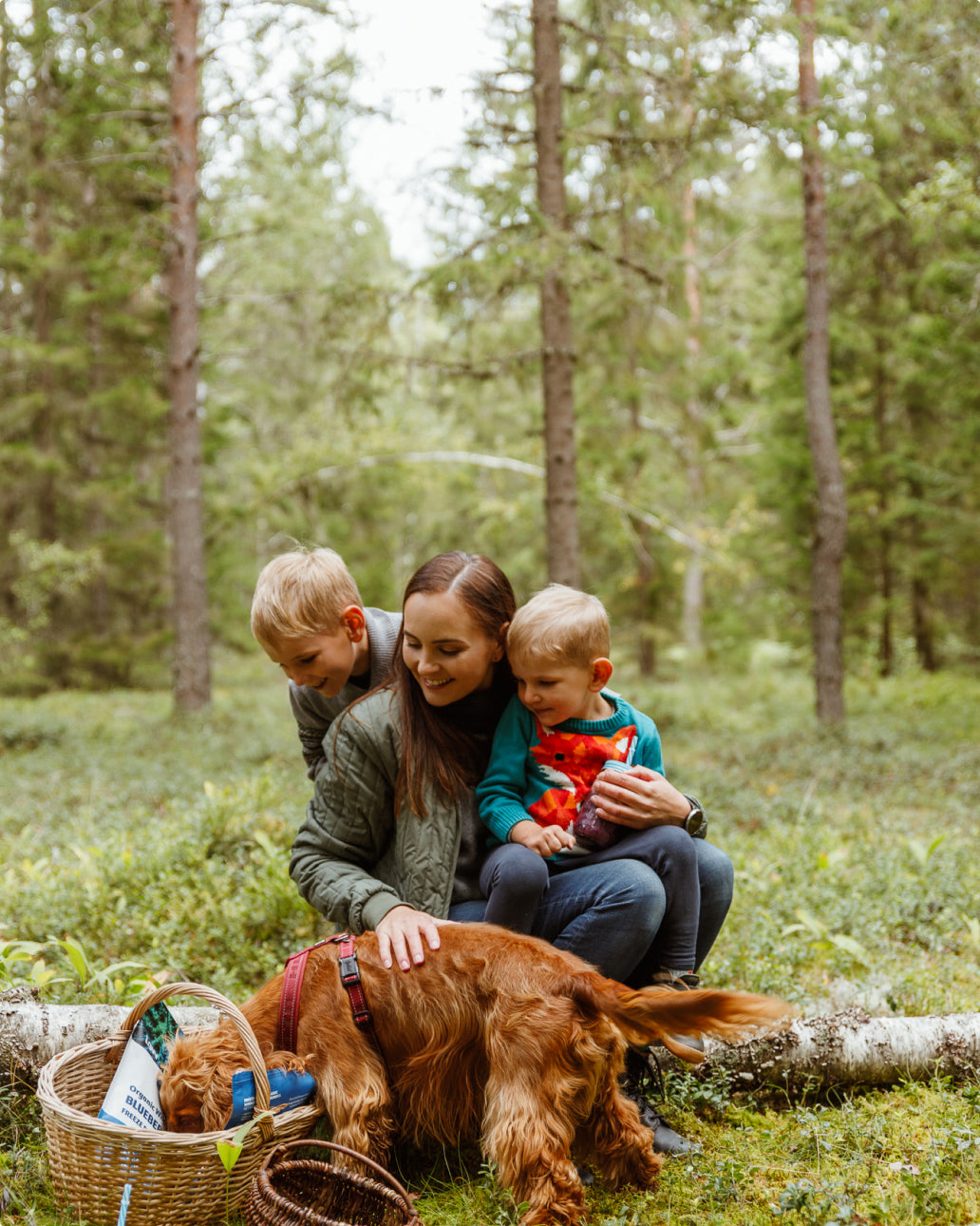 LOOV | Organic Superfoods for the whole family